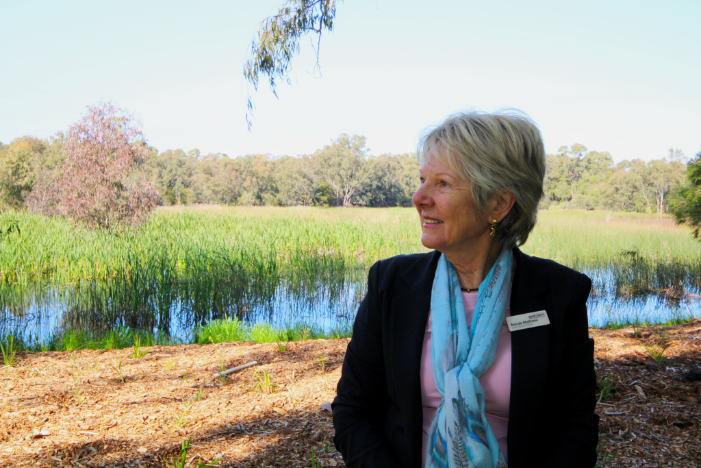 Parkinson's Western Australia - News - Brenda hands over the Reins ...